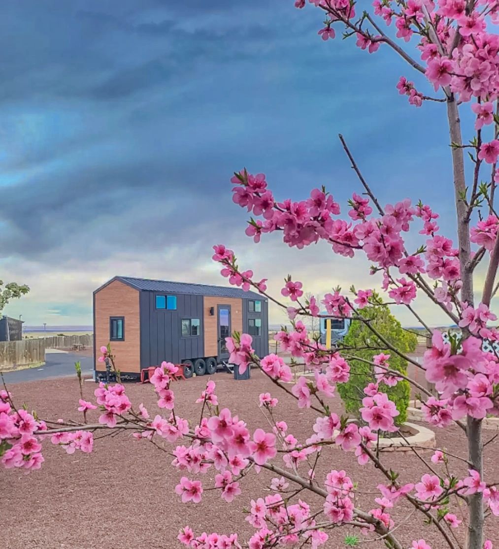 The Stargazer- A tiny home with a celestial touch